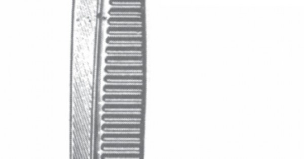 POTTS-SMITH TISSUE FORCEP 1X2 TEETH 18CM